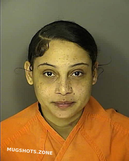 SMITH KATELYNN DANIELLE 01/25/2025 - Horry County Mugshots Zone