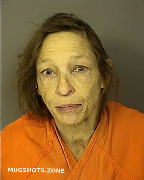 ELSTON AMY JEAN 01/29/2025 - Horry County Mugshots Zone