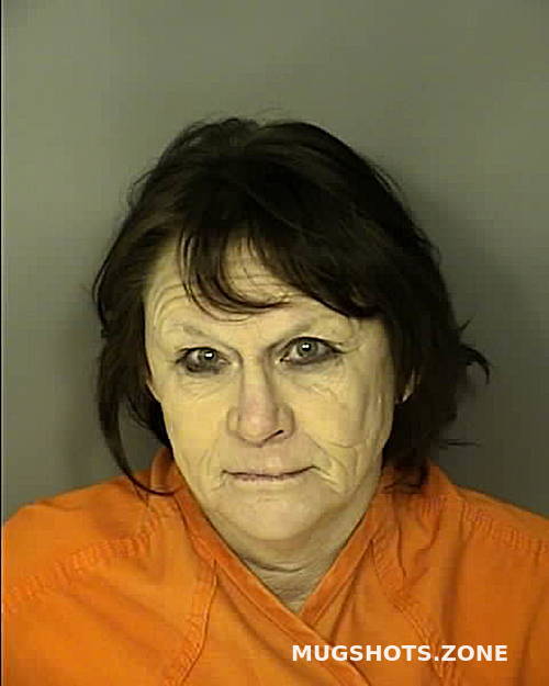 STROUD LISA RENEE JOHNSON 01/29/2025 - Horry County Mugshots Zone