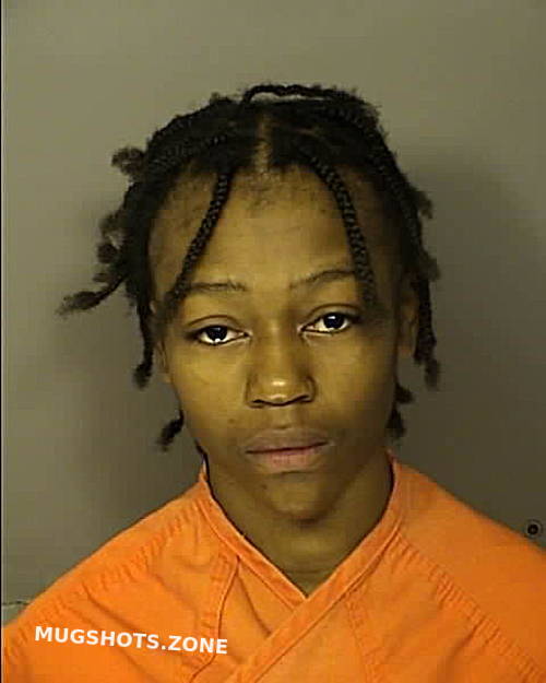 JOHNSON TALIYA MONIQUE 01/29/2025 - Horry County Mugshots Zone