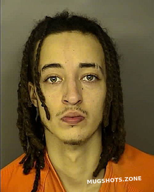 FITZGERALD TYLER DION 01/29/2025 - Horry County Mugshots Zone