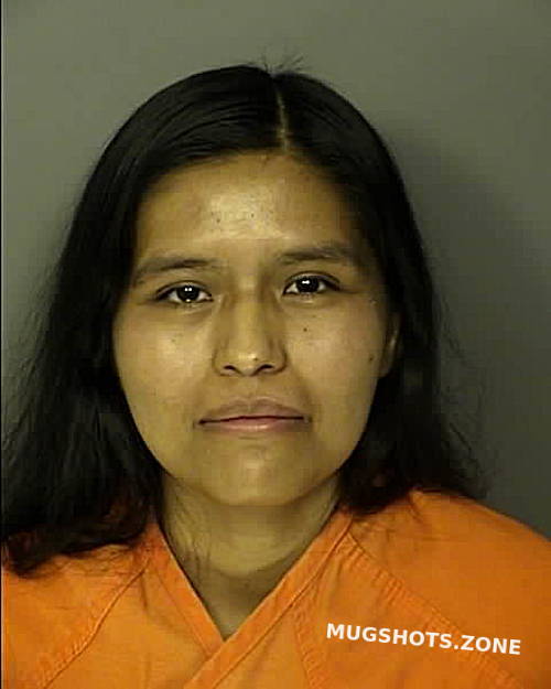 APACHITO CERA VICTORIA 02/01/2025 - Horry County Mugshots Zone