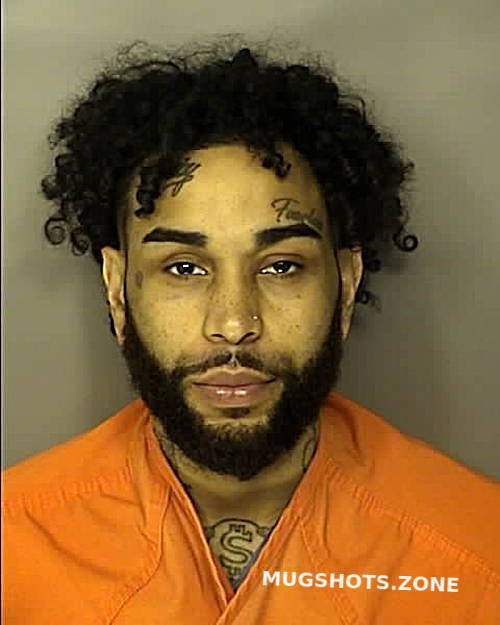 ODOM DOMINIQUE LOUIS 02/02/2025 - Horry County Mugshots Zone