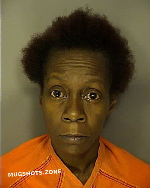 Williams Lori Ann 02 03 2025 Horry County Mugshots Zone