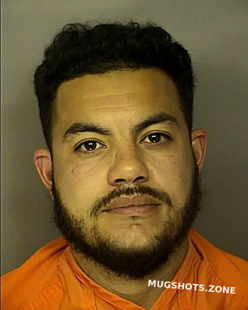 FERRARO ROB DAVIS 02/03/2025 - Horry County Mugshots Zone