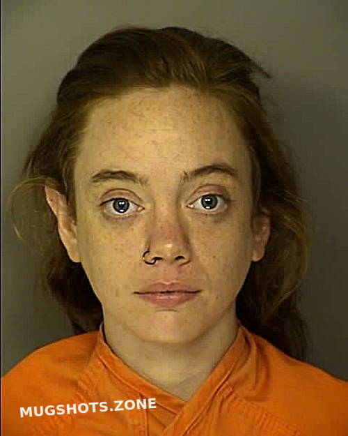 PHOENIX GYPSY ERIS 02/04/2025 - Horry County Mugshots Zone