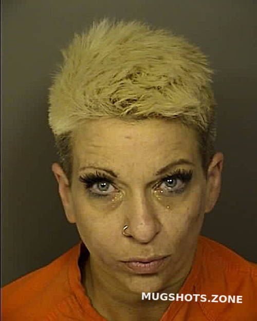 SMALLEY DEIDRE RENEE 02/09/2025 - Horry County Mugshots Zone