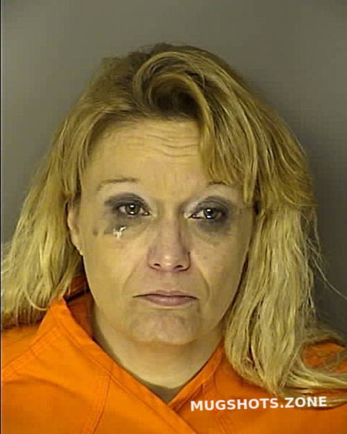 MIXON CHRISTIAN DAWN 02/09/2025 - Horry County Mugshots Zone