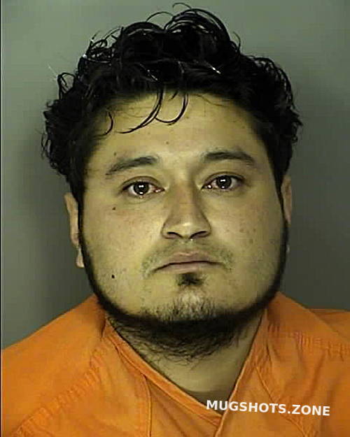 MARQUEZ-RODRIGUEZ ELMER ROBERTO 02/09/2025 - Horry County Mugshots Zone