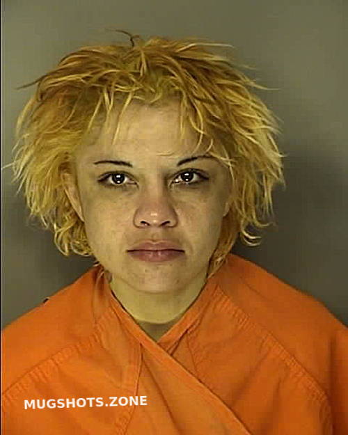 HUNT CANDY ROSE 02/11/2025 - Horry County Mugshots Zone