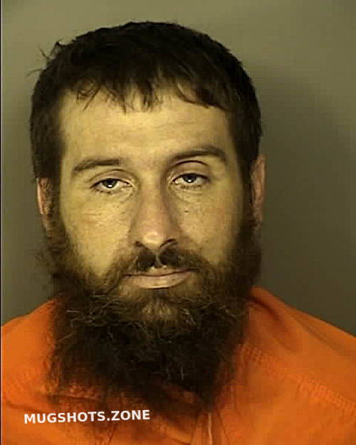 SIMS JAMIE LEE 02/13/2025 - Horry County Mugshots Zone