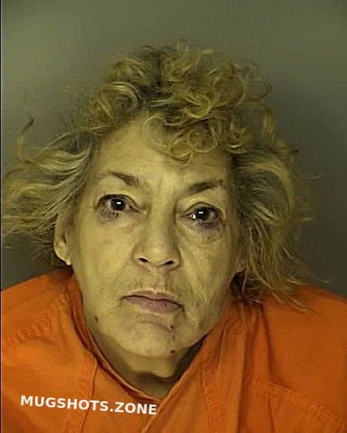 ALONZI MARIA 02/17/2025 - Horry County Mugshots Zone