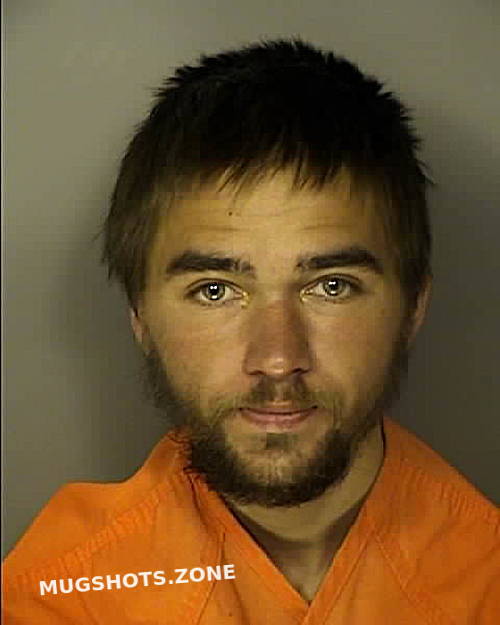 JORDAN JUSTIN LEE 02/21/2025 - Horry County Mugshots Zone