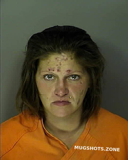 SANTANA APRIL MARIE 02/21/2025 - Horry County Mugshots Zone