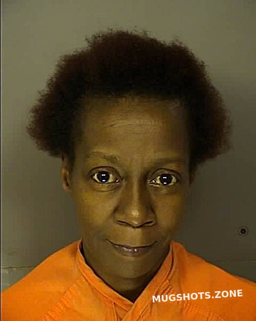 Williams Lori Ann 02 23 2025 Horry County Mugshots Zone