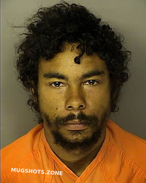 ROSS JACOB TYLER 02/23/2025 - Horry County Mugshots Zone