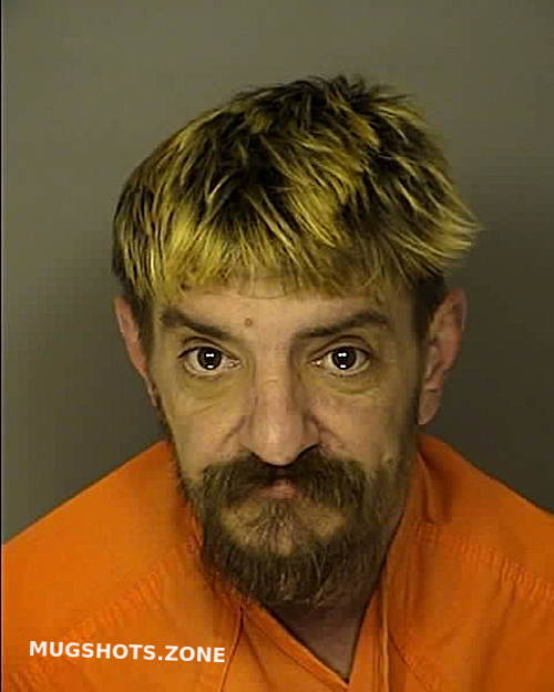 ALLPHIN JAMES DANIEL 03/03/2025 - Horry County Mugshots Zone