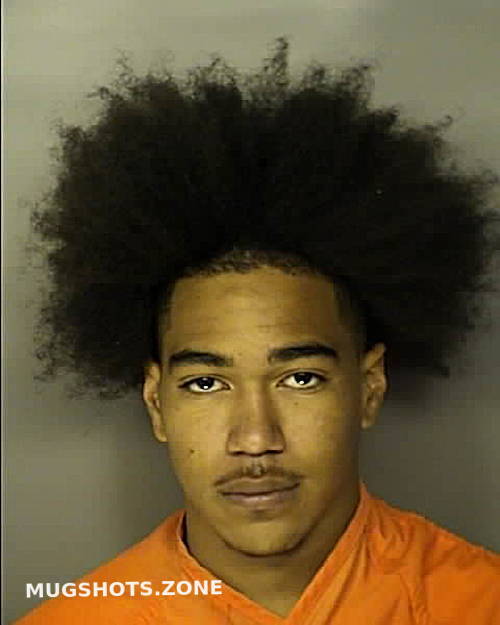 HOPKINS SHAMOURE SYNCERE 03/03/2025 - Horry County Mugshots Zone