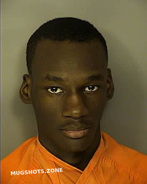 WILSON XZAVIER SAVION 03/08/2025 - Horry County Mugshots Zone