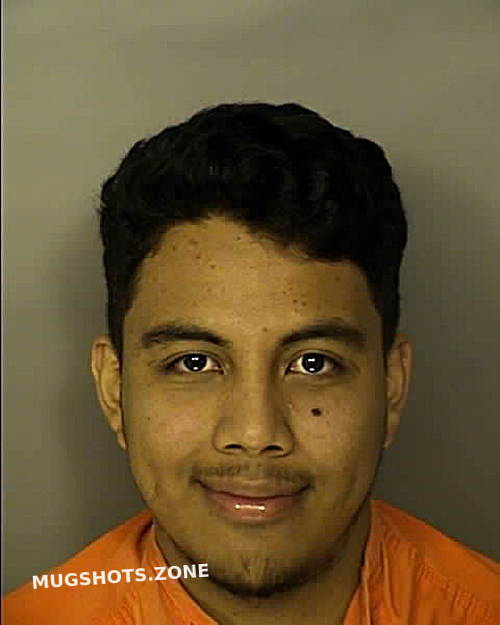 LEONOR-ANTONIO EVER ENOC 03/08/2025 - Horry County Mugshots Zone