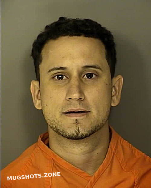 IANNELLI JONATHAN MARIO 03/09/2025 - Horry County Mugshots Zone