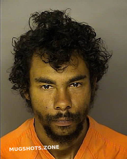 ROSS JACOB TYLER 03/10/2025 - Horry County Mugshots Zone