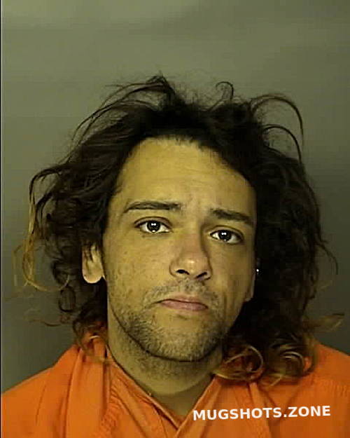 HARRIS DYLAN FRANK 03/13/2025 - Horry County Mugshots Zone