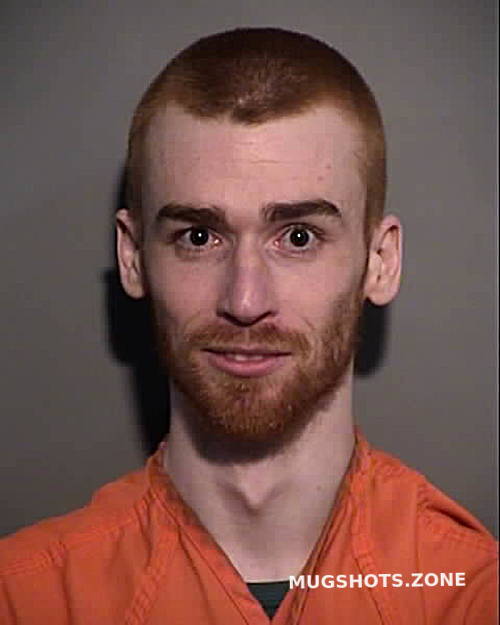 DOOLITTLE DYLAN AUSTIN 03/16/2025 - Horry County Mugshots Zone