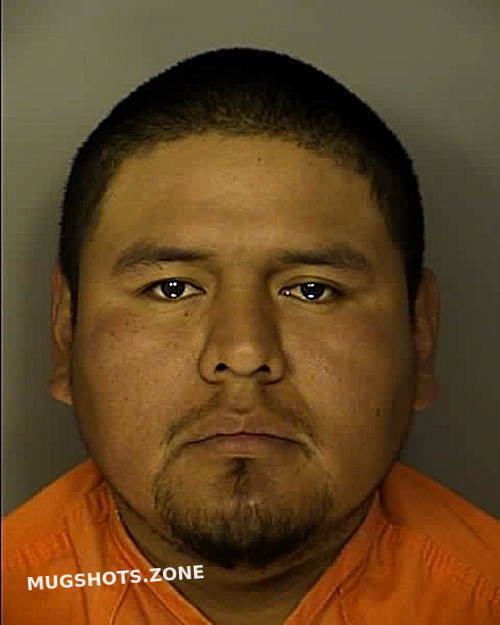 LUNA-MAYA BRYAN MISAEL 03/18/2025 - Horry County Mugshots Zone