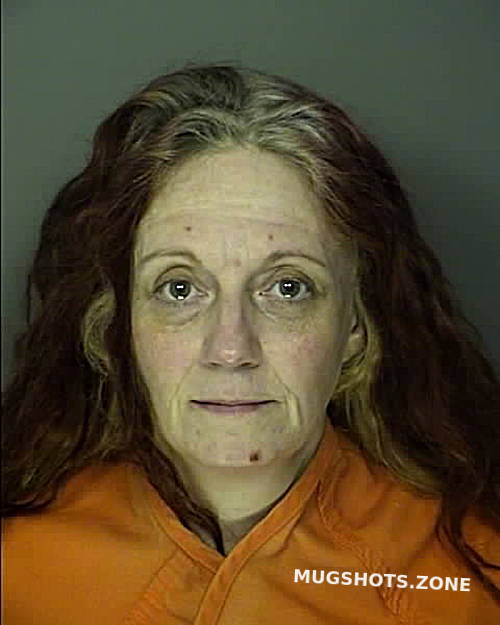 NOEL KIM MARIE 03/20/2025 - Horry County Mugshots Zone