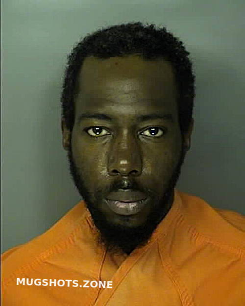 BROWN STEPHON GERALD 03/20/2025 - Horry County Mugshots Zone