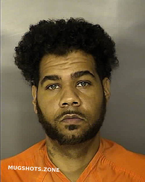 REECE JONATHAN WAYNE 03/20/2025 - Horry County Mugshots Zone