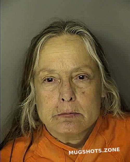 SIMPLER JANICE LYNNE 03/22/2025 - Horry County Mugshots Zone