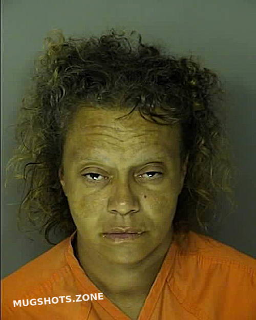 LOCKLEAR HANNAH 03/24/2025 - Horry County Mugshots Zone