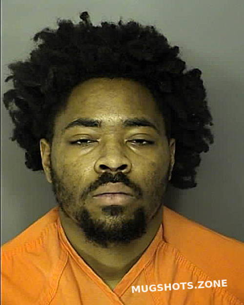 PINCKNEY SAVION JORDAN 03/25/2025 - Horry County Mugshots Zone