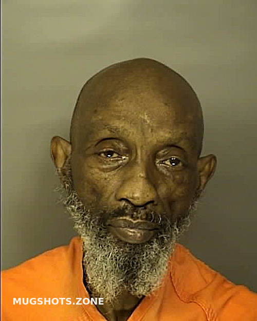 BRIGGS LEROY FRANK 03/27/2025 - Horry County Mugshots Zone