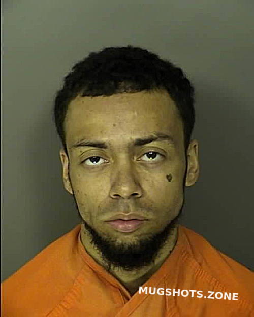 WILLIAMS GENE NATHAN 03/30/2025 - Horry County Mugshots Zone