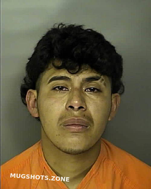 MALPICA OMAR 03/31/2025 - Horry County Mugshots Zone