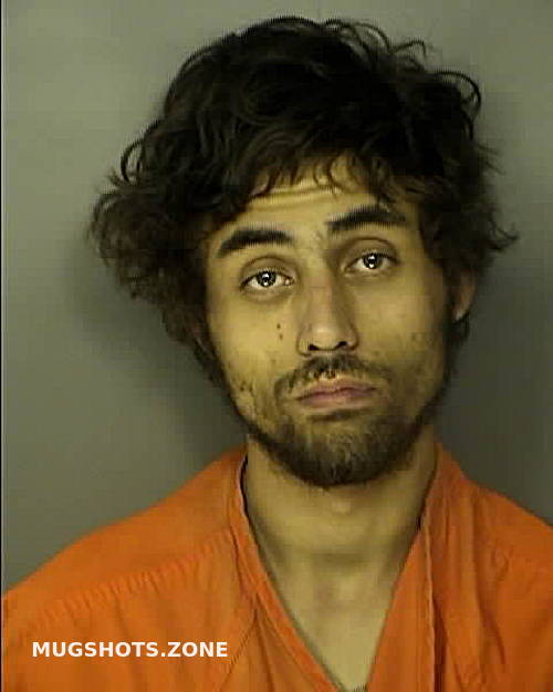 PELKEY AUSTIN WAYNE 03/31/2025 - Horry County Mugshots Zone