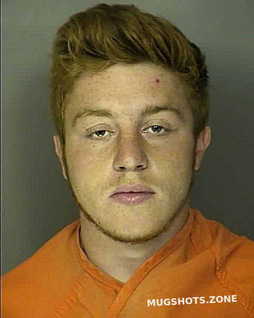 CHESTNUT COLTON HUNTER 03/31/2025 - Horry County Mugshots Zone