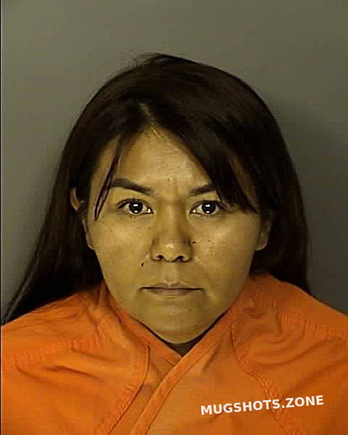 ANGEL MARIA DEL CARMAN 04/03/2025 - Horry County Mugshots Zone