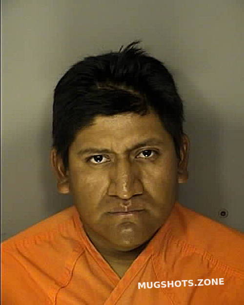 TURQUIZ-MACARIO MANUEL ELISEO 04/05/2025 - Horry County Mugshots Zone