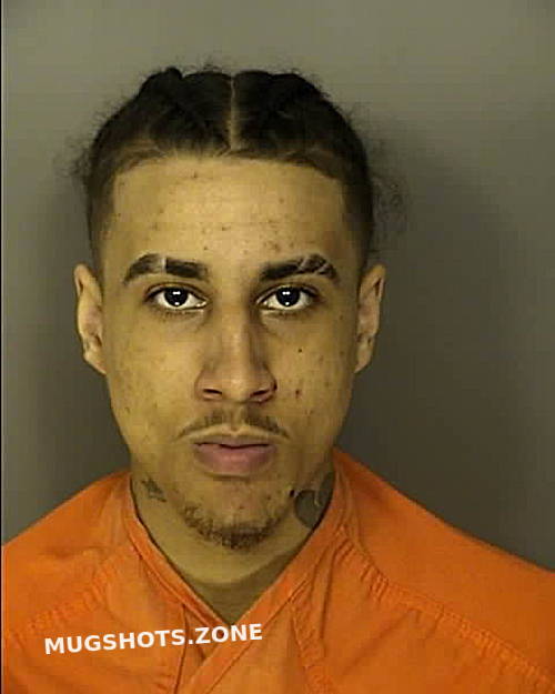 GREEN JORDAN ANTRON 04/08/2025 - Horry County Mugshots Zone