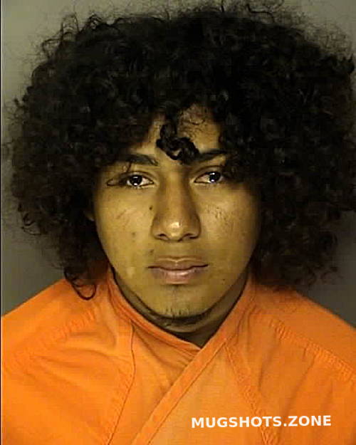 FLORES MARBIN JOSUE 04/08/2025 - Horry County Mugshots Zone