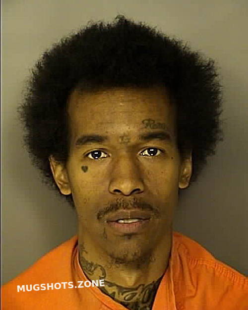 HUNT DAVION ALEXANDER 04/11/2025 - Horry County Mugshots Zone