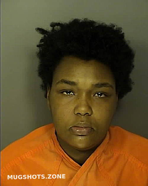 SIMMONS DIAMOND ANASTASIA 04/13/2025 - Horry County Mugshots Zone