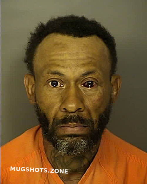 NICHOLSON ROBERT G. 04/13/2025 - Horry County Mugshots Zone