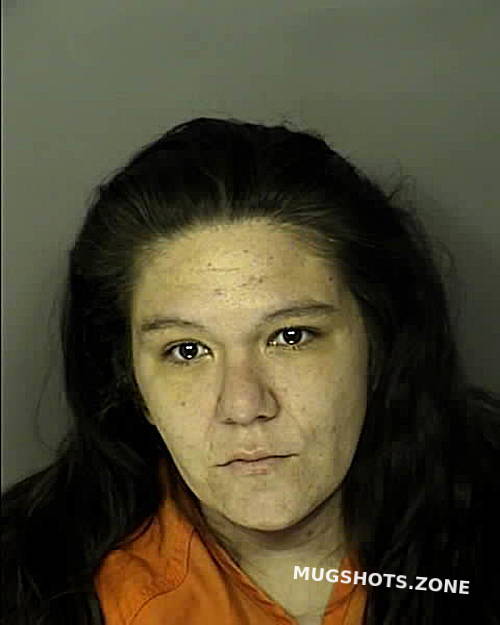 GARLOCK SHANNON MARIE 04/16/2025 - Horry County Mugshots Zone