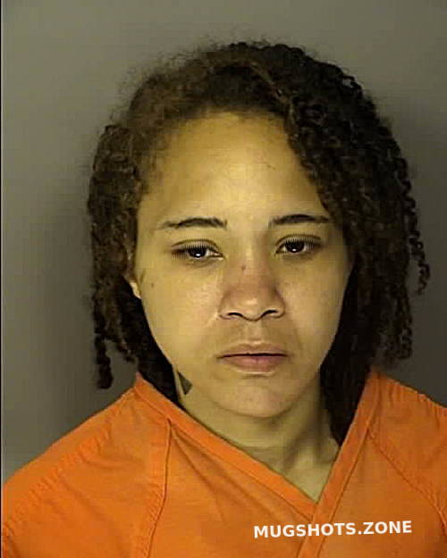 PERRY SHAQUILA RAYLEEN 04/19/2025 - Horry County Mugshots Zone
