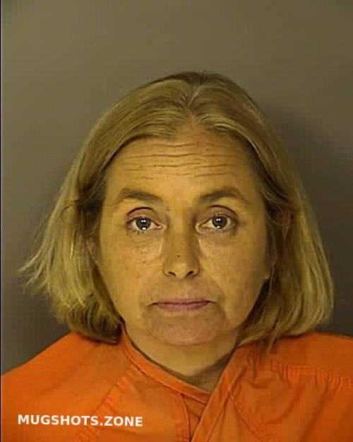 JOHNSON JAMIE CRISTINA 04/19/2025 - Horry County Mugshots Zone